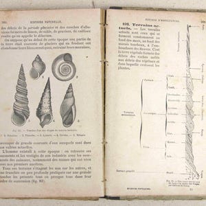 Antique Illustrated French Science Book 1910s, Primary School Natural ...