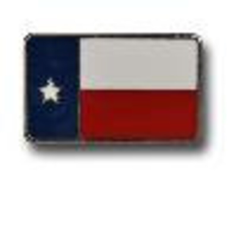 Leather Dog Collar Texas Flags Includes Name Engraved - Etsy