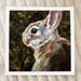 PRINT 'patiently Waiting' Rabbit Fine Art PRINT. Made to Order.*note ...