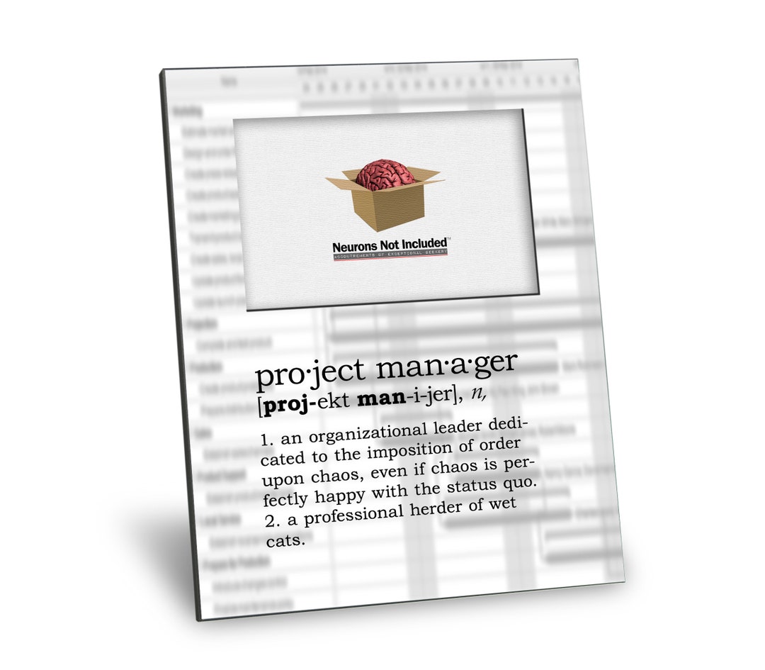 Project Manager Definition Picture Frame - Personalization Available ...