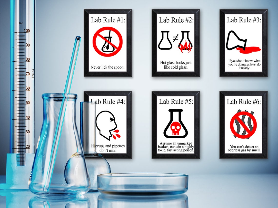 Lab Rules Typography 6 Piece Wall Plaque Set - Etsy