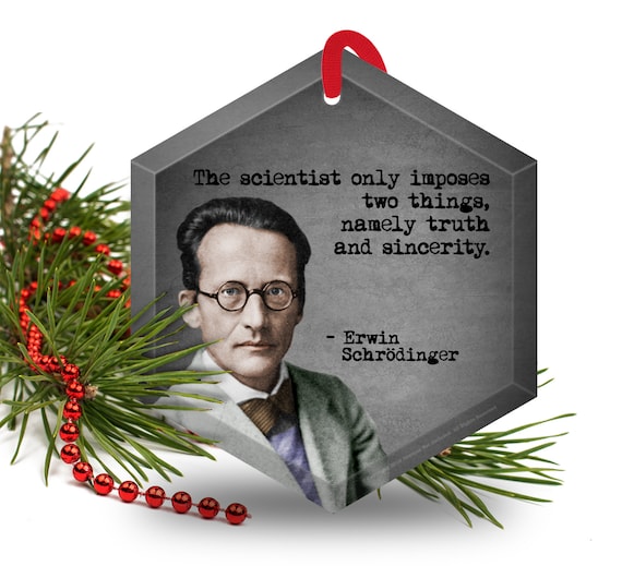 Erwin Schrodinger Famous Scientist Beveled Glass | Etsy