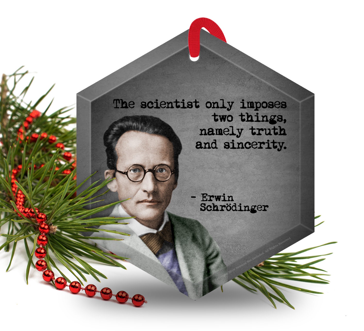 Schrodinger Scientist
