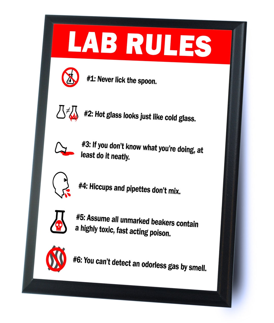 Lab Rules Wall Wood Sign Plaque With Built in Frame - 9"x 12" - Etsy