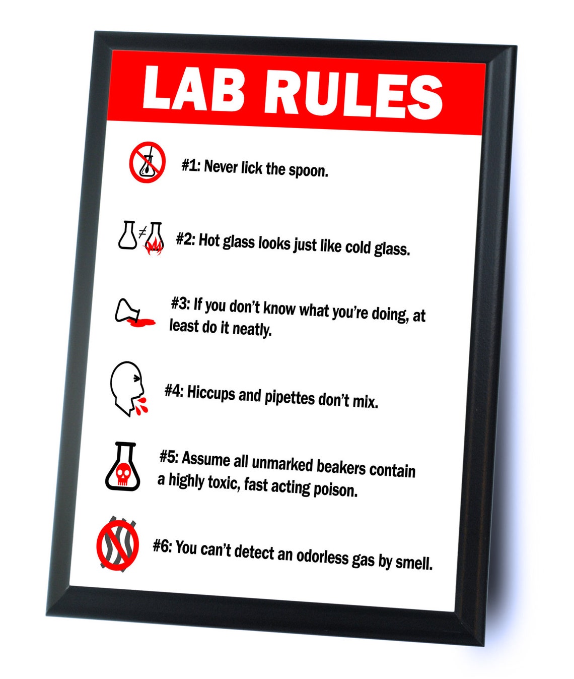 Lab Rules Wall Wood Sign Plaque With Built in Frame 9x - Etsy