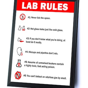 Lab Rules Wall Wood Sign Plaque With Built in Frame - 9"x 12" - Etsy