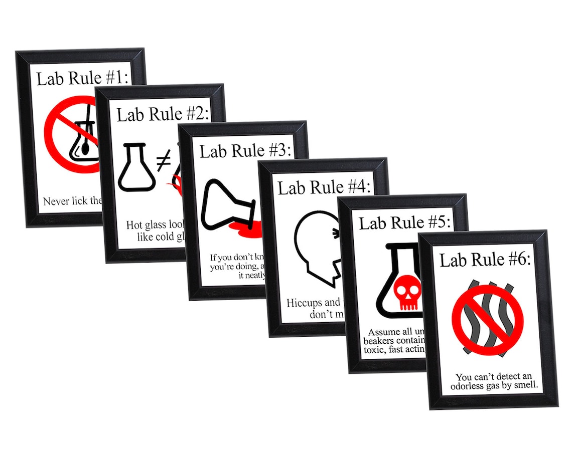 Lab Rules Typography 6 Piece Wall Plaque Set - Etsy