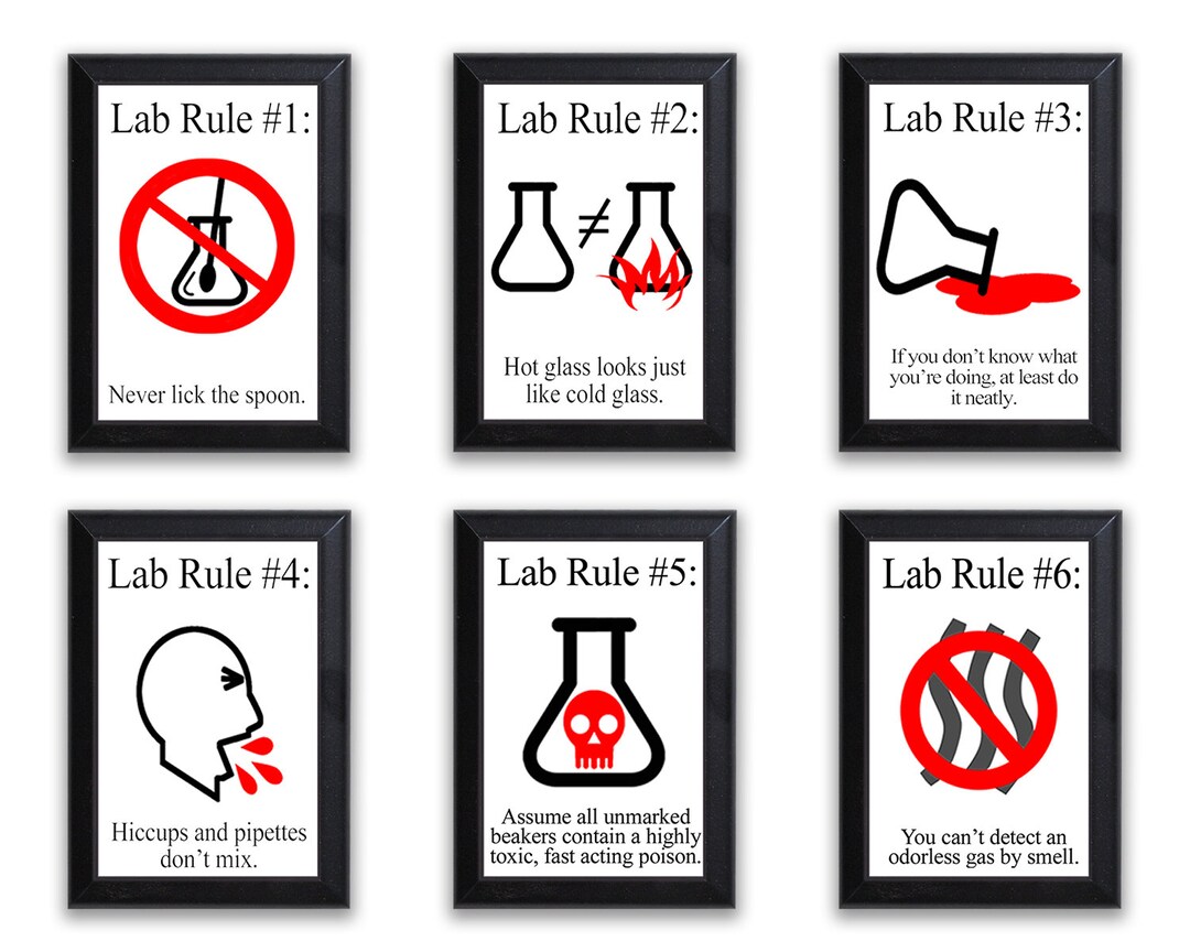Lab Rules Typography 6 Piece Wall Plaque Set - Etsy