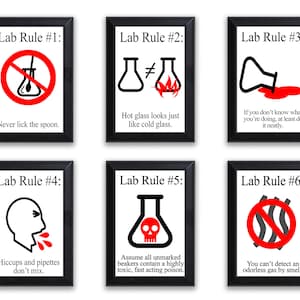 Lab Rules Typography 6 Piece Wall Plaque Set - Etsy