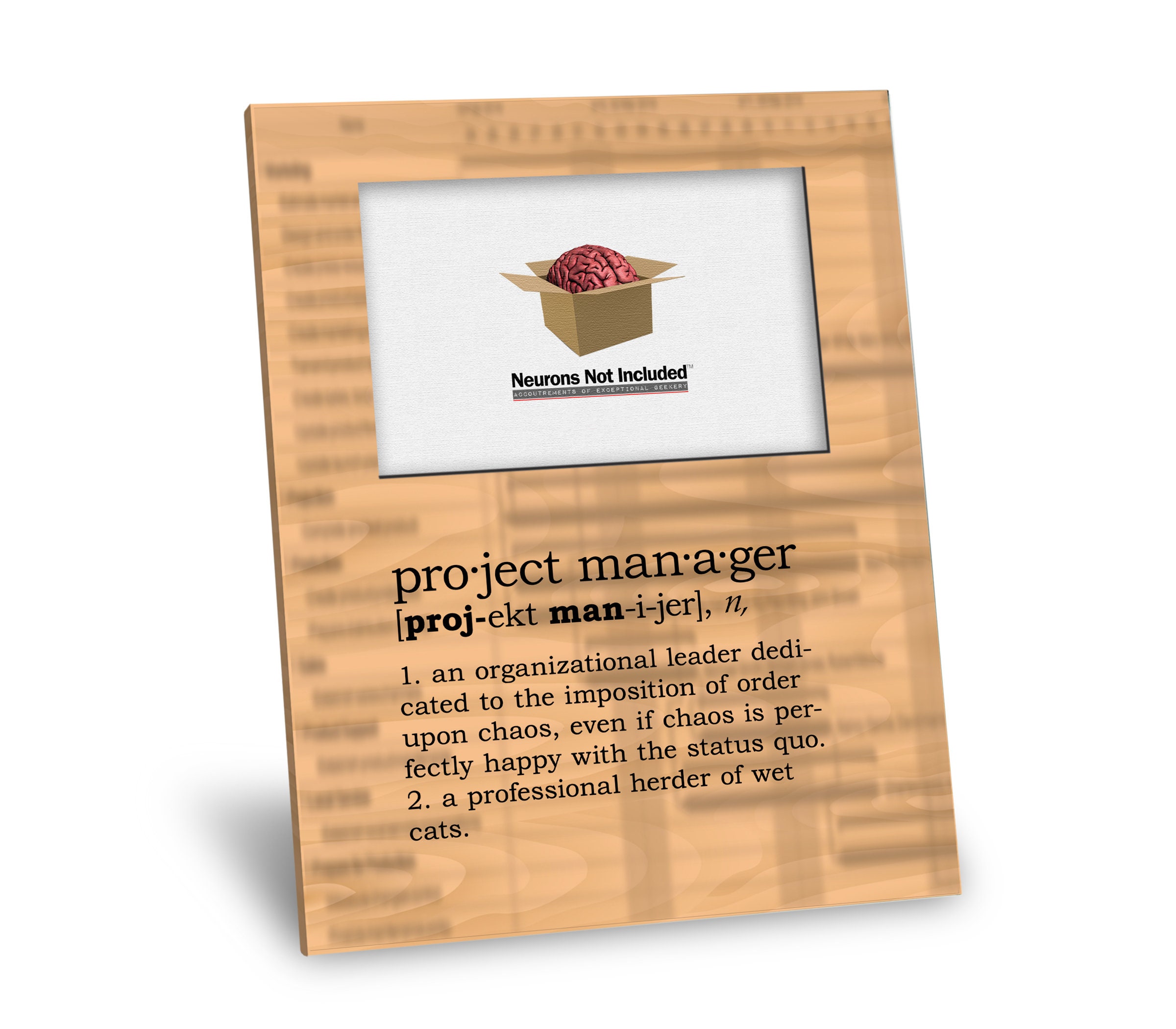 Project Manager Definition Picture Frame Personalization | Etsy