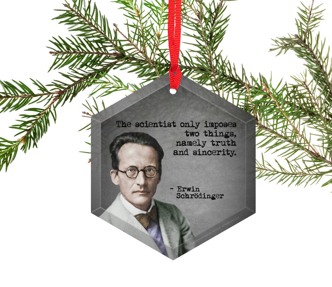 Erwin Schrodinger - Famous Scientist - Beveled Glass - Etsy