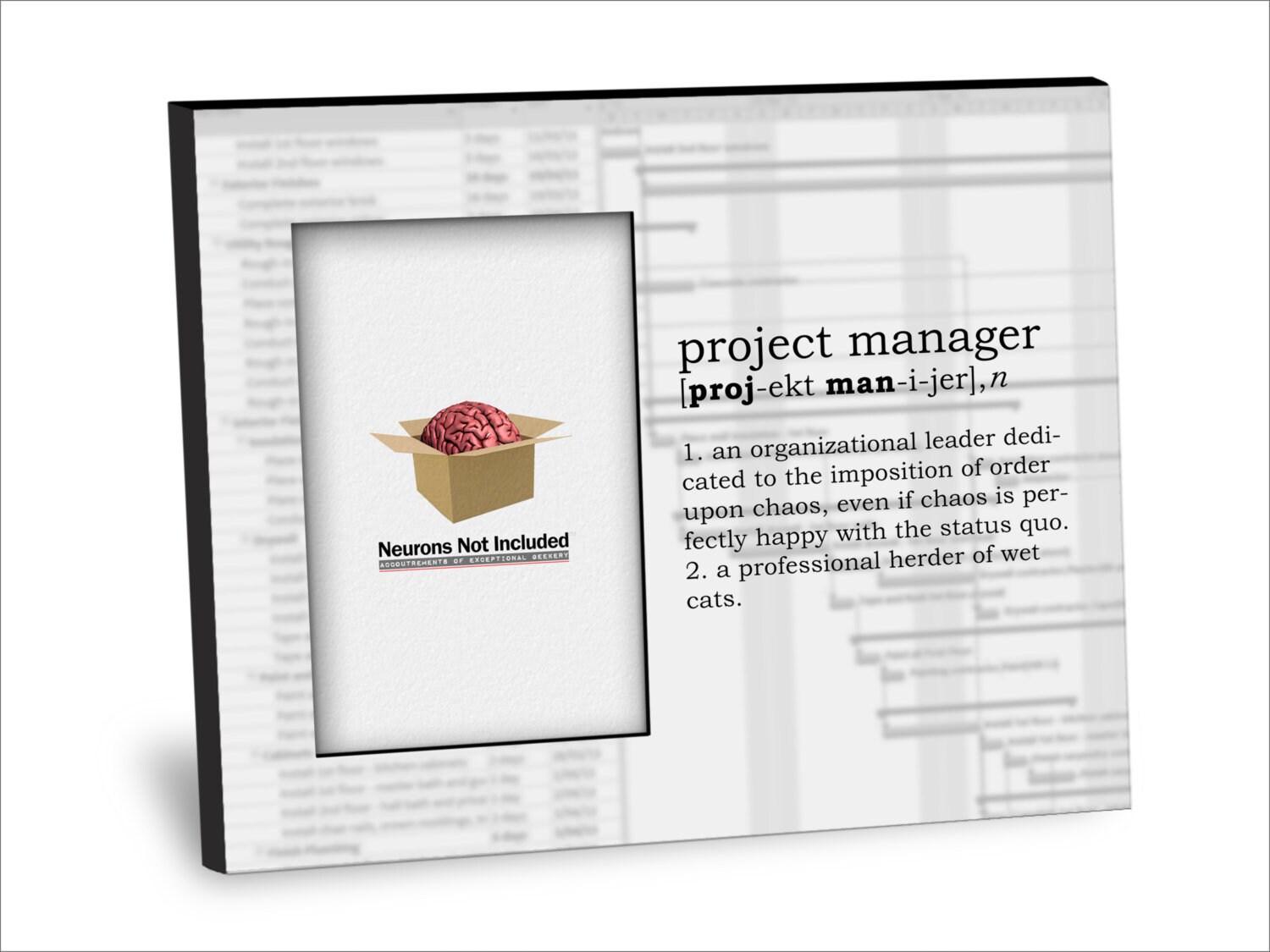 Project Manager Definition Picture Frame Personalization | Etsy