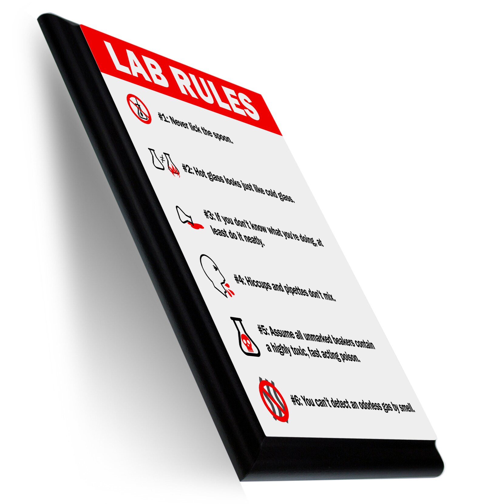 Lab Rules Wall Wood Sign Plaque With Built in Frame 9x - Etsy