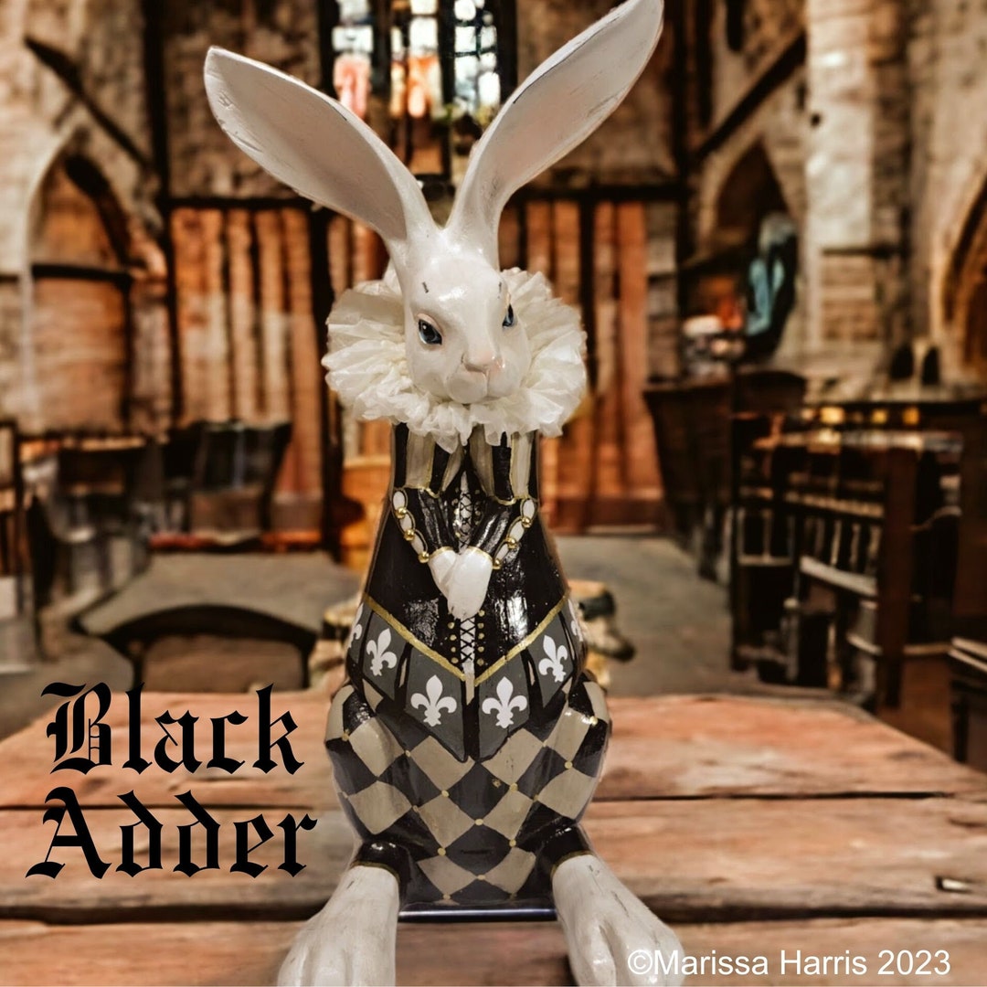 Medieval Hare, Renaissance Rabbit, Tudor Doublet and Ruff, Black Adder ...