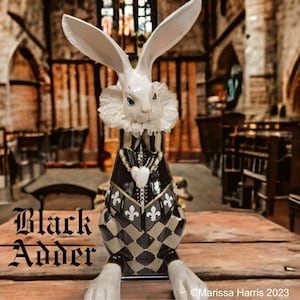 Medieval Hare, Renaissance Rabbit, Tudor Doublet and Ruff, Black Adder ...