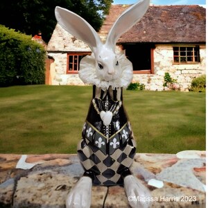 Medieval Hare, Renaissance Rabbit, Tudor Doublet and Ruff, Black Adder ...