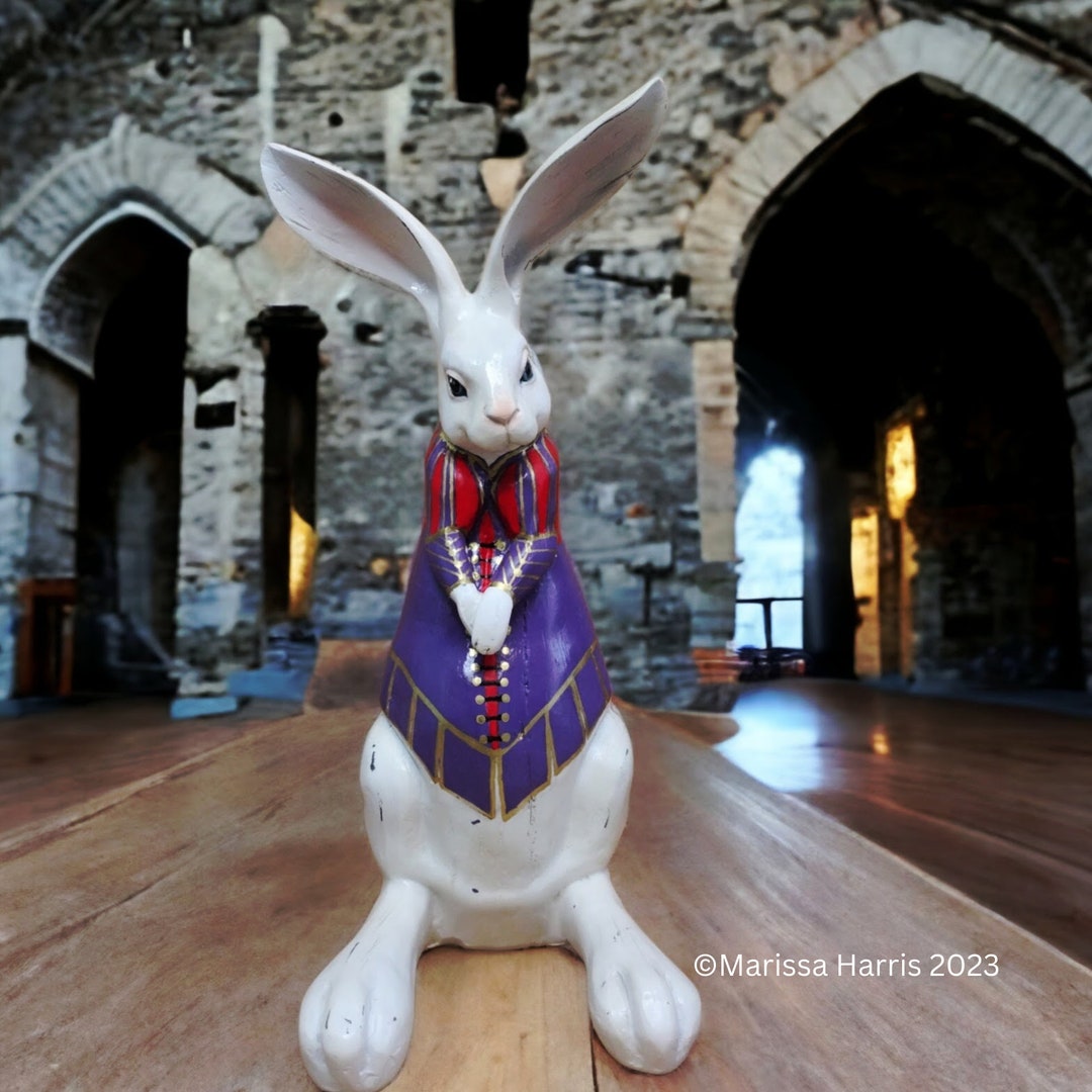 Medieval Tudor Doublet Rabbit, Renaissance Elizabethan Court Herald ...