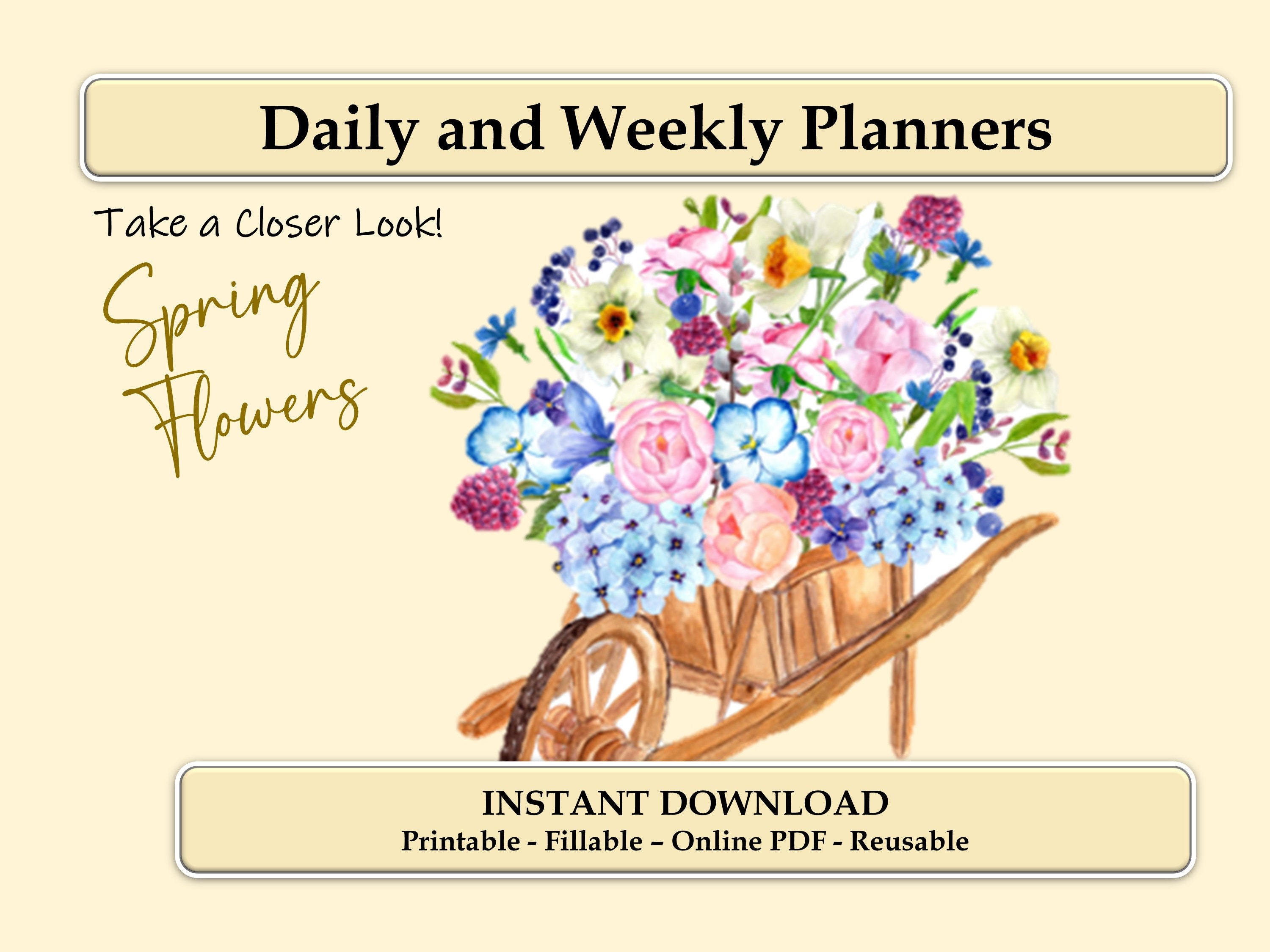 Printable and Fillable PDF, Daily and Weekly Planner Pages, Pastel ...