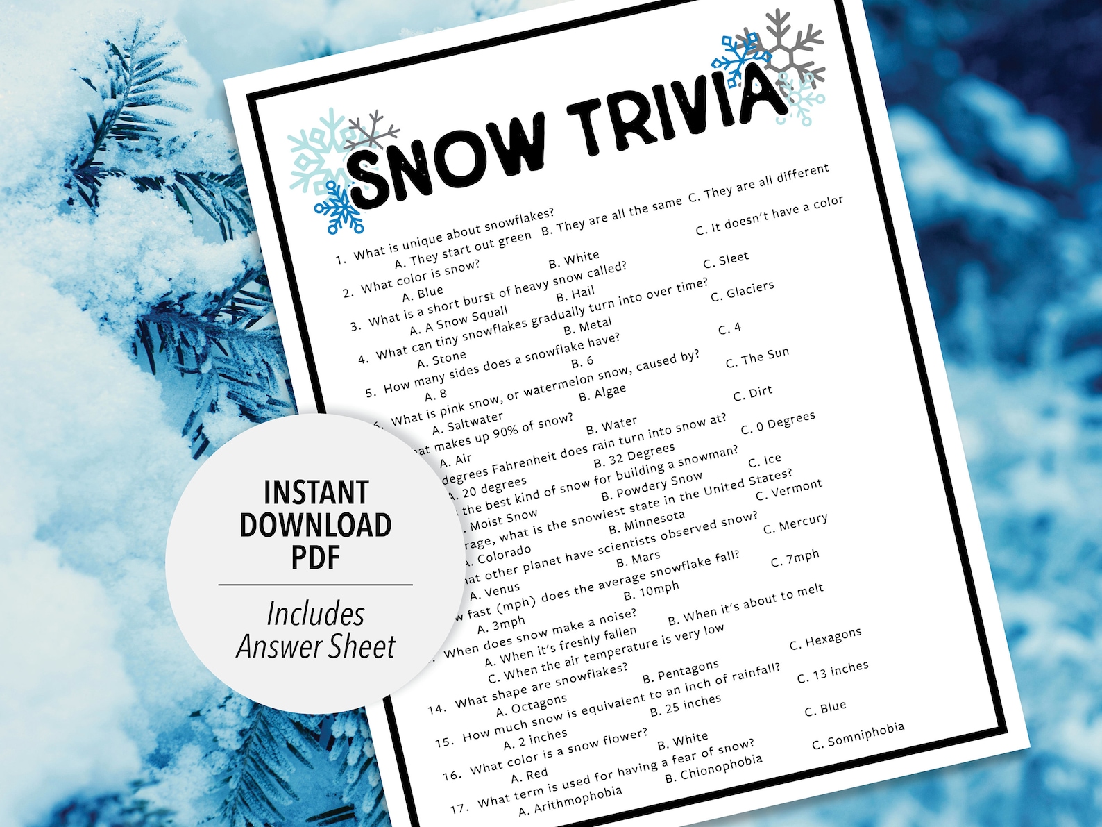 Snow Trivia Game | Snow Quiz (printable PDF Download) - Etsy