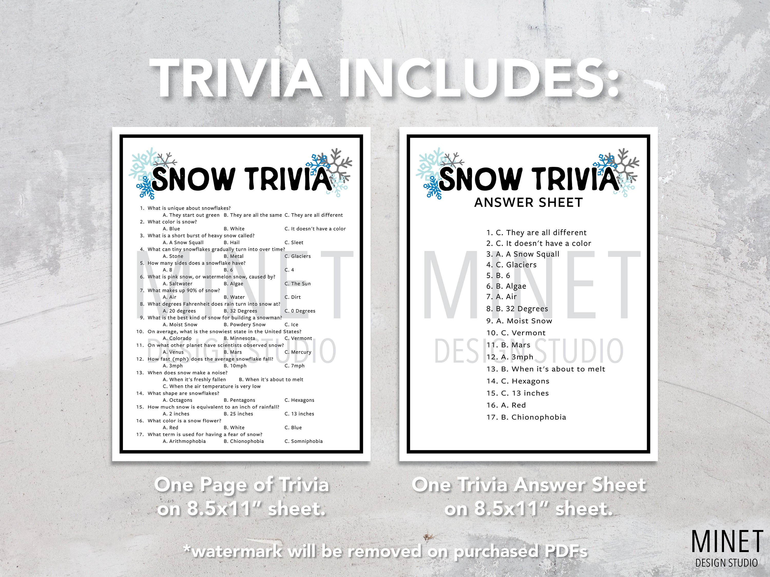 Snow Trivia Game | Snow Quiz (printable PDF Download) - Etsy