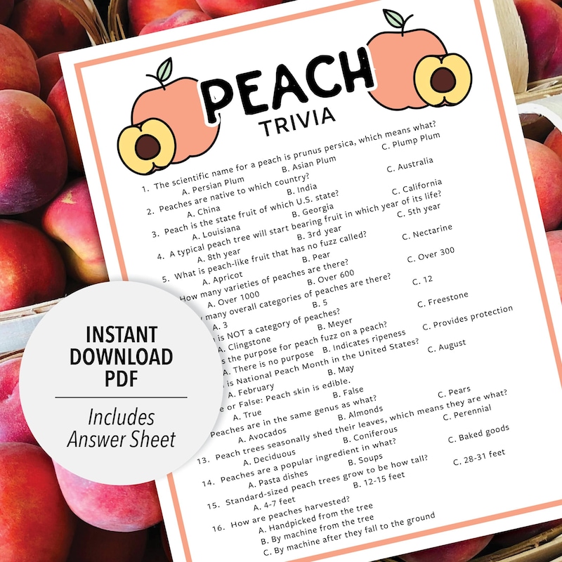 Peaches and Cream - Etsy