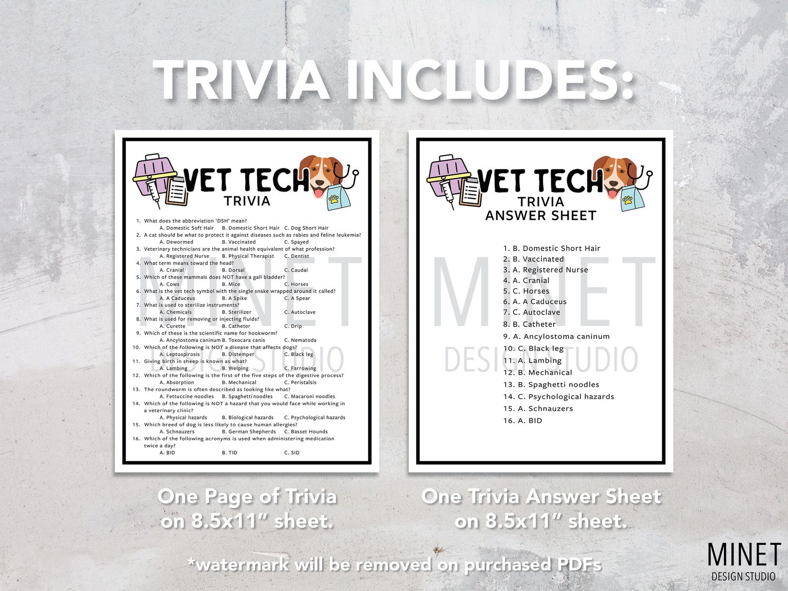 Vet Tech Trivia Game | Veterinary Technician Quiz (printable PDF ...