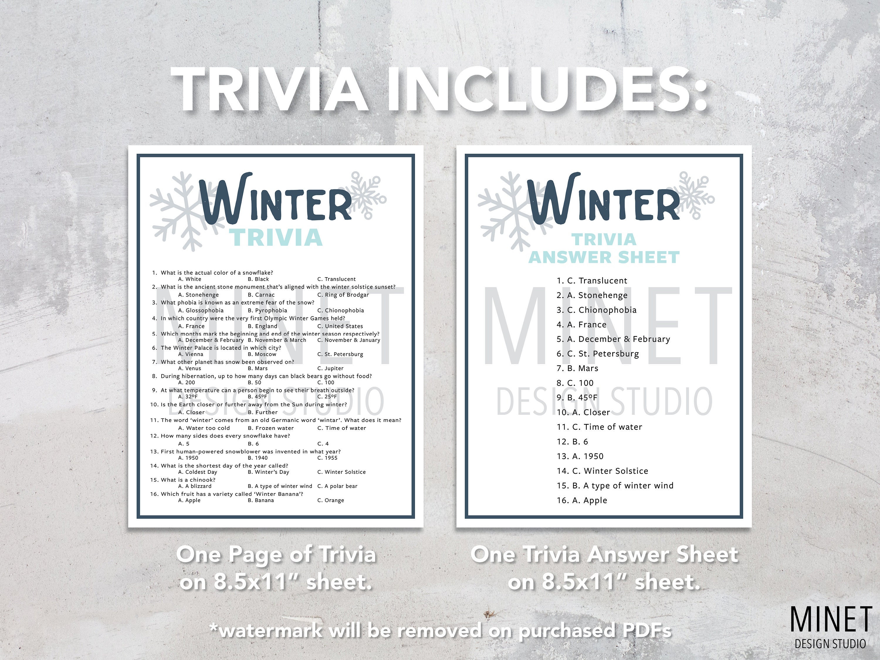Winter Trivia Game | Winter Quiz (printable PDF Download) - Etsy