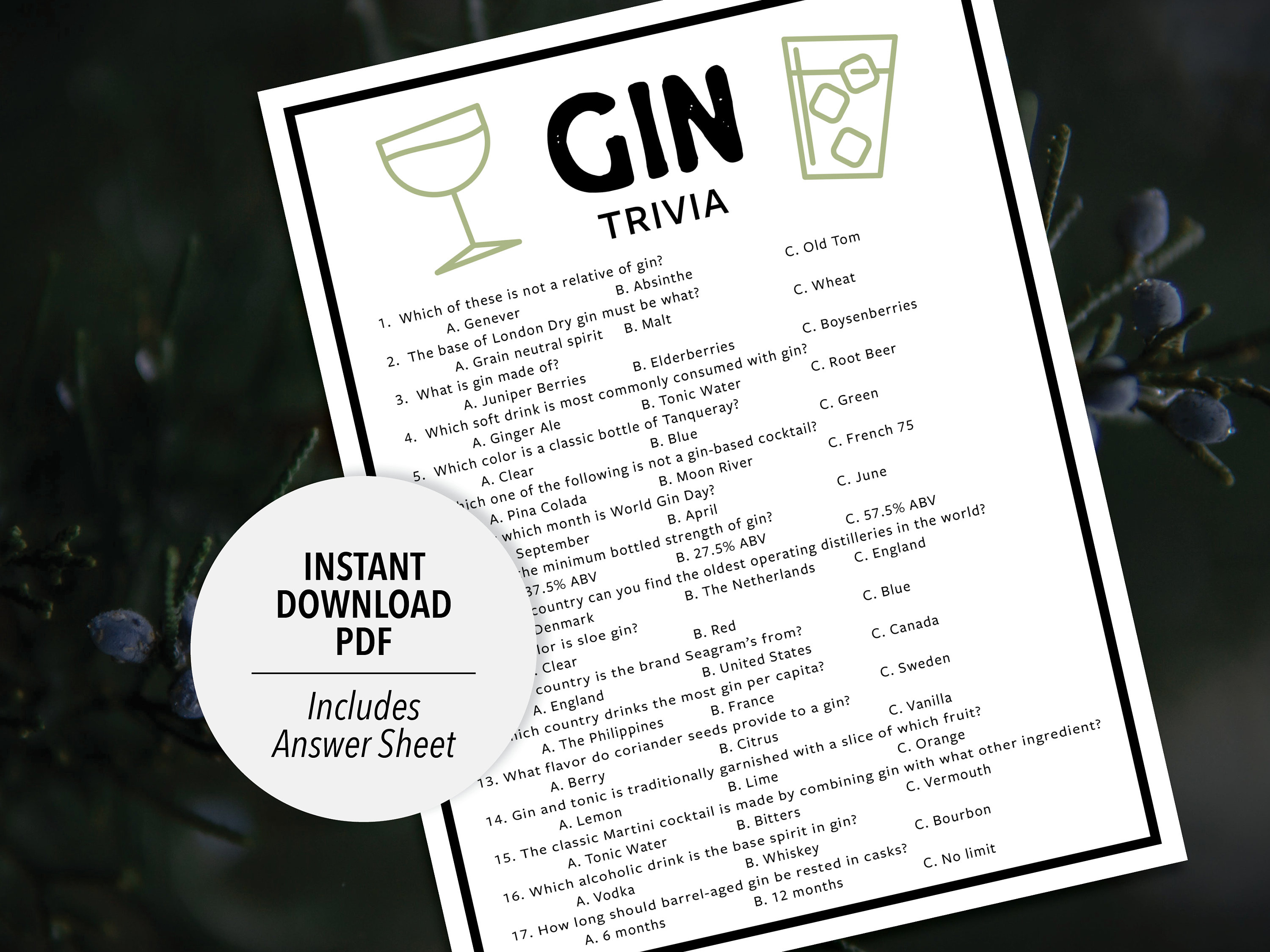Gin Trivia | Gin Trivia Game | Printable Gin Trivia | Printable Trivia | Gin Themed Trivia ...