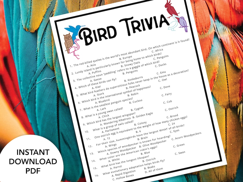 Bird Trivia Birds Trivia Game Printable Bird Trivia - Etsy