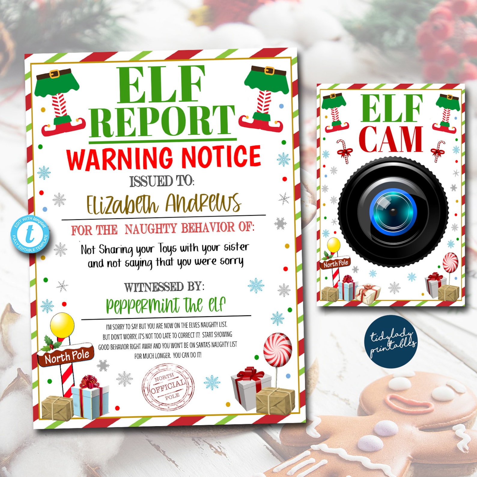 Elf Warning Notice and Elf Cam Printable Christmas Kids - Etsy