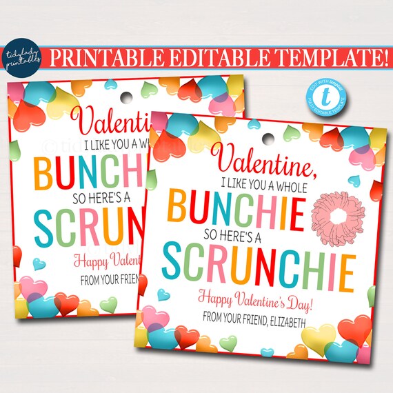EDITABLE Valentine Scrunchie Gift Tags, I like you a Bunchie Girls ...