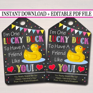 EDITABLE Rubber Duck Valentine's Day Gift Tags, Daycare Friend ...