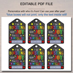EDITABLE Candy Classroom Printable Gift Tags, Bursting With Joy That ...