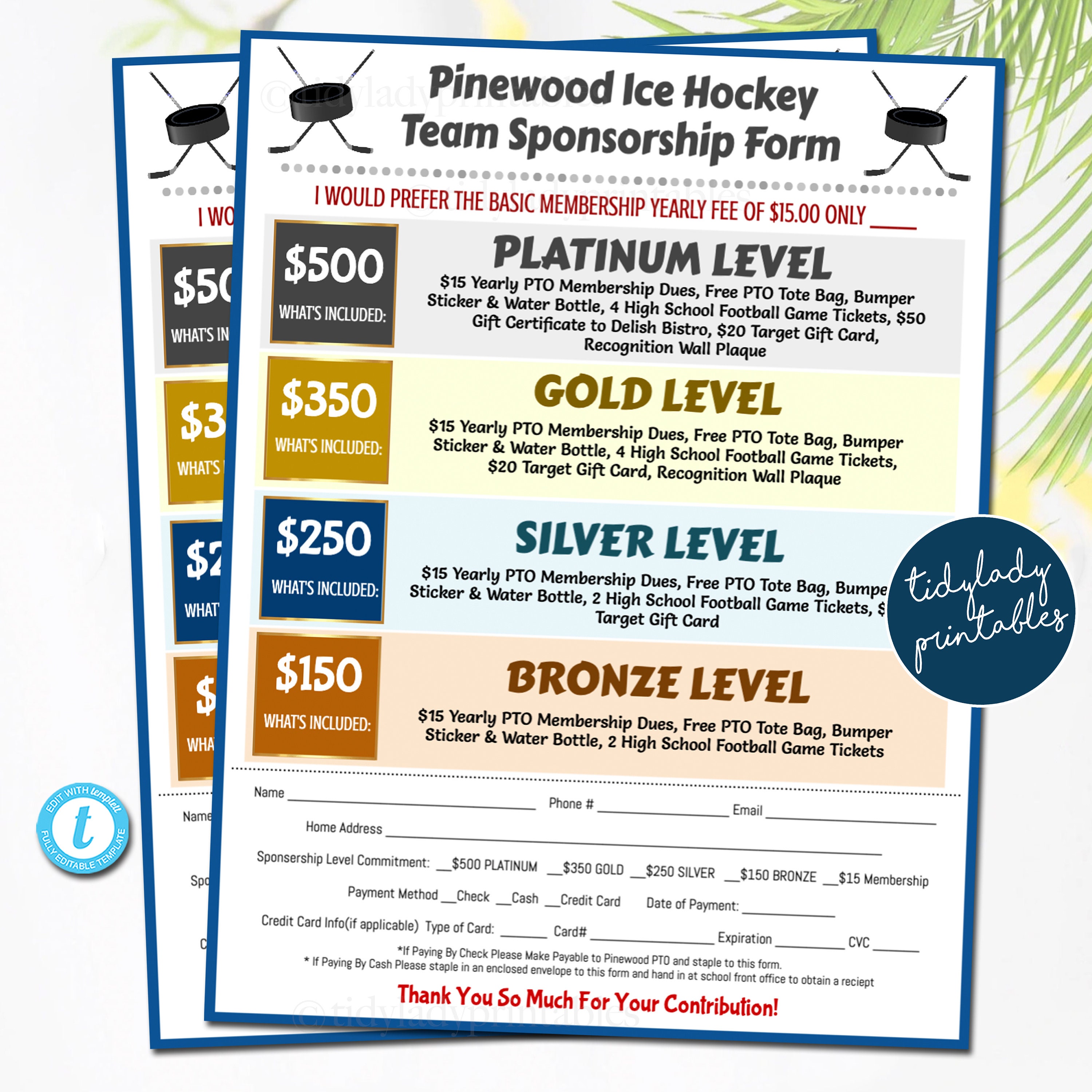 Ice Hockey Sponsorship Form: Editable Team Fundraiser (printable ...