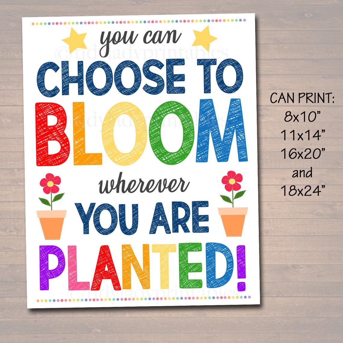 Classroom Decor School Classroom Poster Bloom Where You Are | Etsy