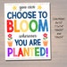 Classroom Decor, School Classroom Poster, Bloom Where You Are Planted ...