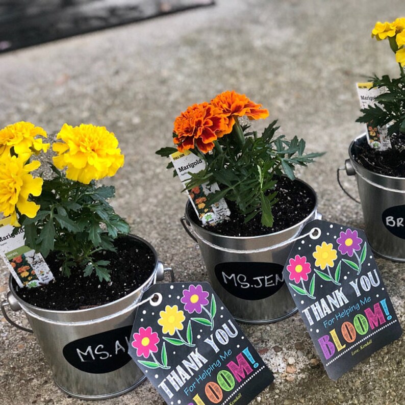 Editable Floral Gift Tags: Teacher, Mother's Day (PDF Download) - Etsy