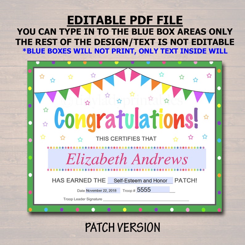 Editable Award Certificate Templates: Scout Badge Printables (instant ...