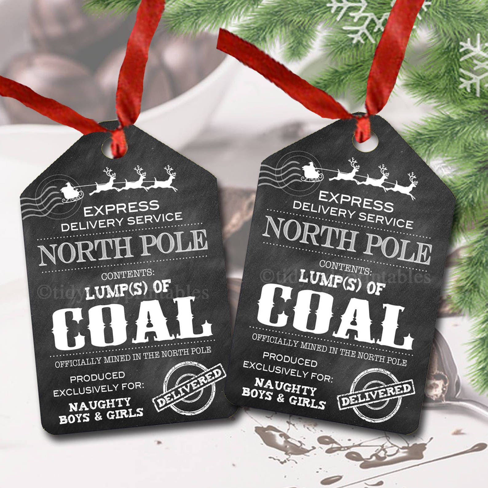 Christmas Gift Tag, Lump of Coal North Pole Delivery, Santa's Naughty ...