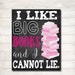 I Like Big Books and I Cannot Lie, Classroom Decor, Library Poster ...