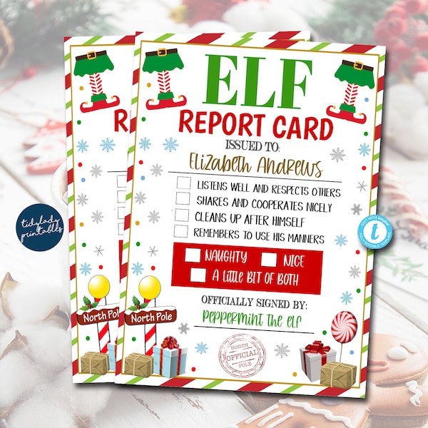 Naughty or Nice Tags - Etsy