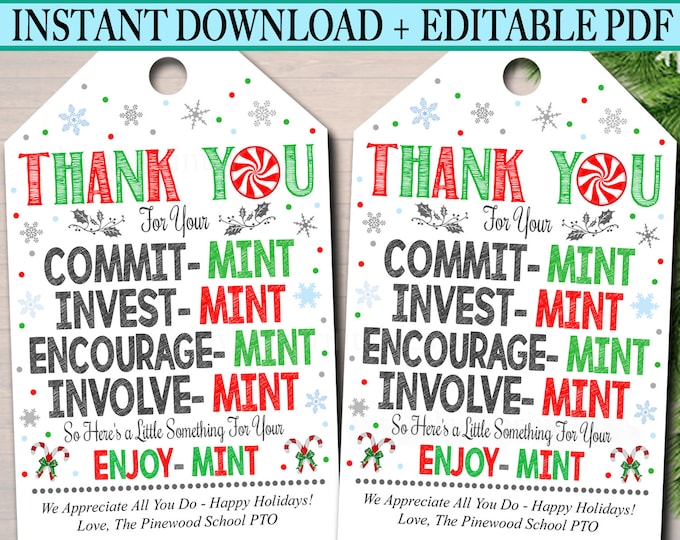 Best Volunteer Ever Appreciation Gifts Bulk Thank You Gifts Small Thank ...