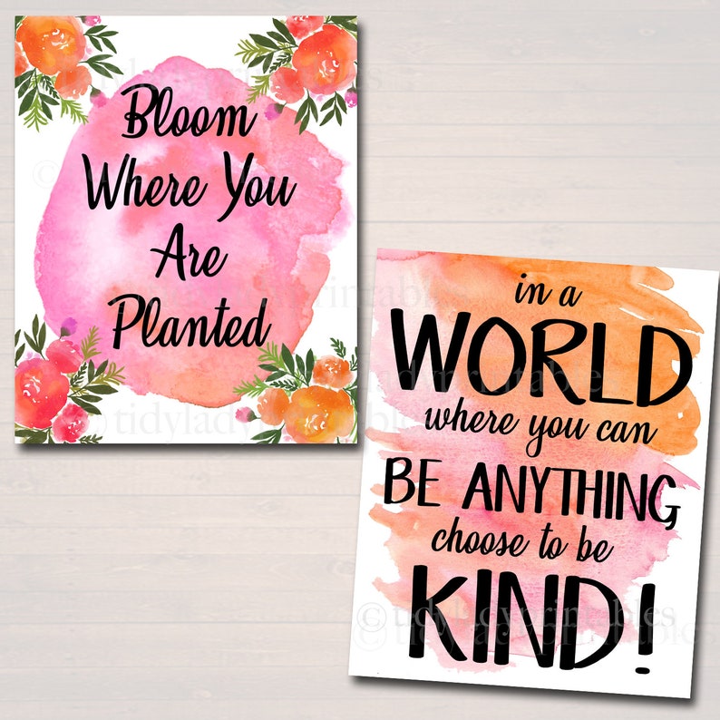Inspirational Watercolor Posters: Pink Classroom Decor (set of 12) (PDF ...