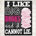 I Like Big Books and I Cannot Lie, Classroom Decor, Library Poster ...