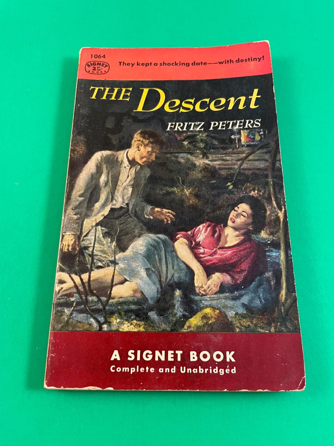 The Descent by Fritz Peters Vintage 1953 Signet Paperback - Etsy