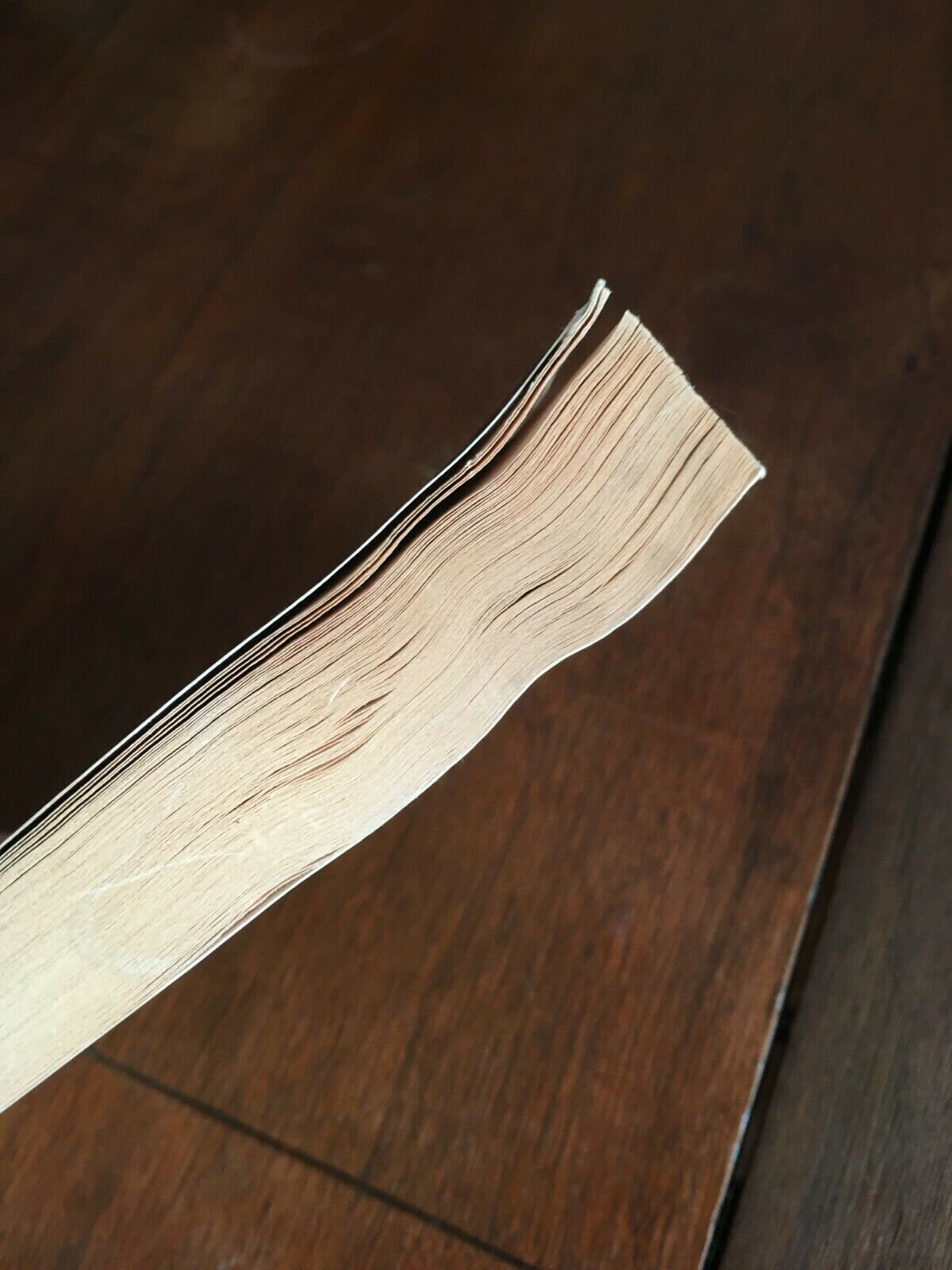 Shadow Dance de Anne Logston Vintage PB Paperback Fantasy 1992 Ace ...