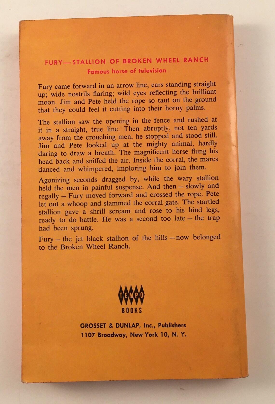 Fury Stallion of the Broken Wheel Ranch by Albert Miller PB - Etsy