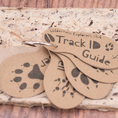 Animal Tracks ID Guide Perfect for Forest School Child - Etsy