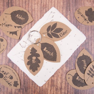 Leaf Rubbing Kit; Large Leaf Crayon With Leaf ID Guide - Perfect for ...
