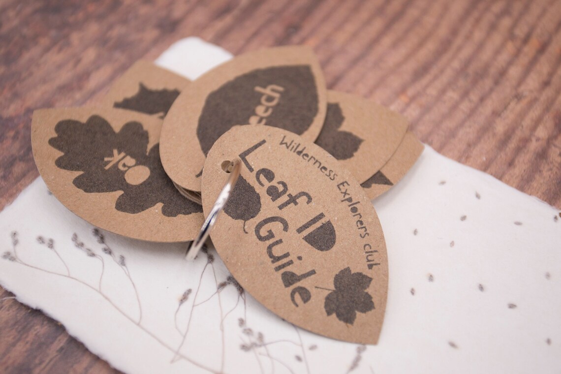 Animal Tracks ID Guide Perfect for Forest School Child - Etsy